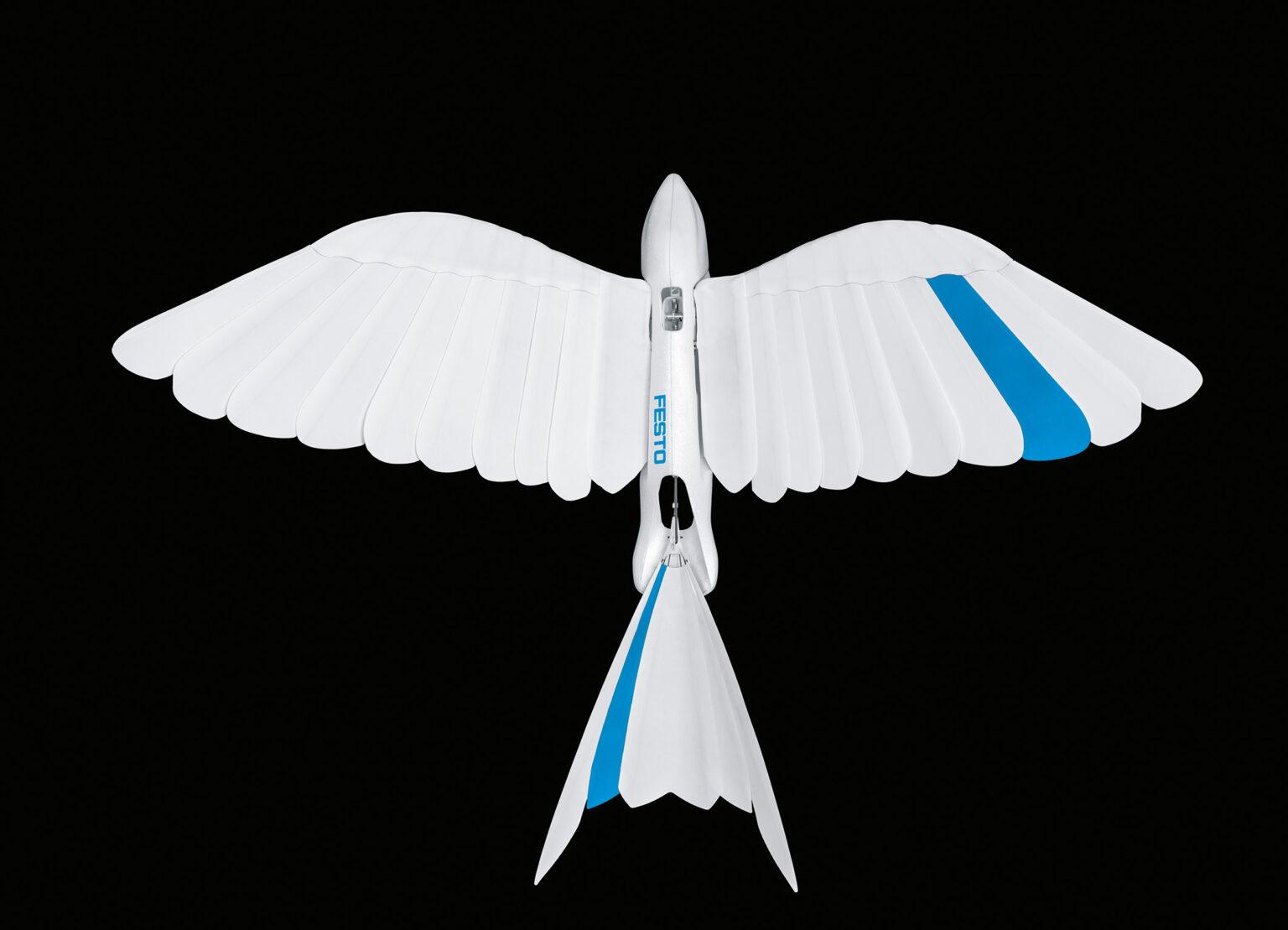 Robots-Blog | Artificial feathers give flight to robotic birds | News ...