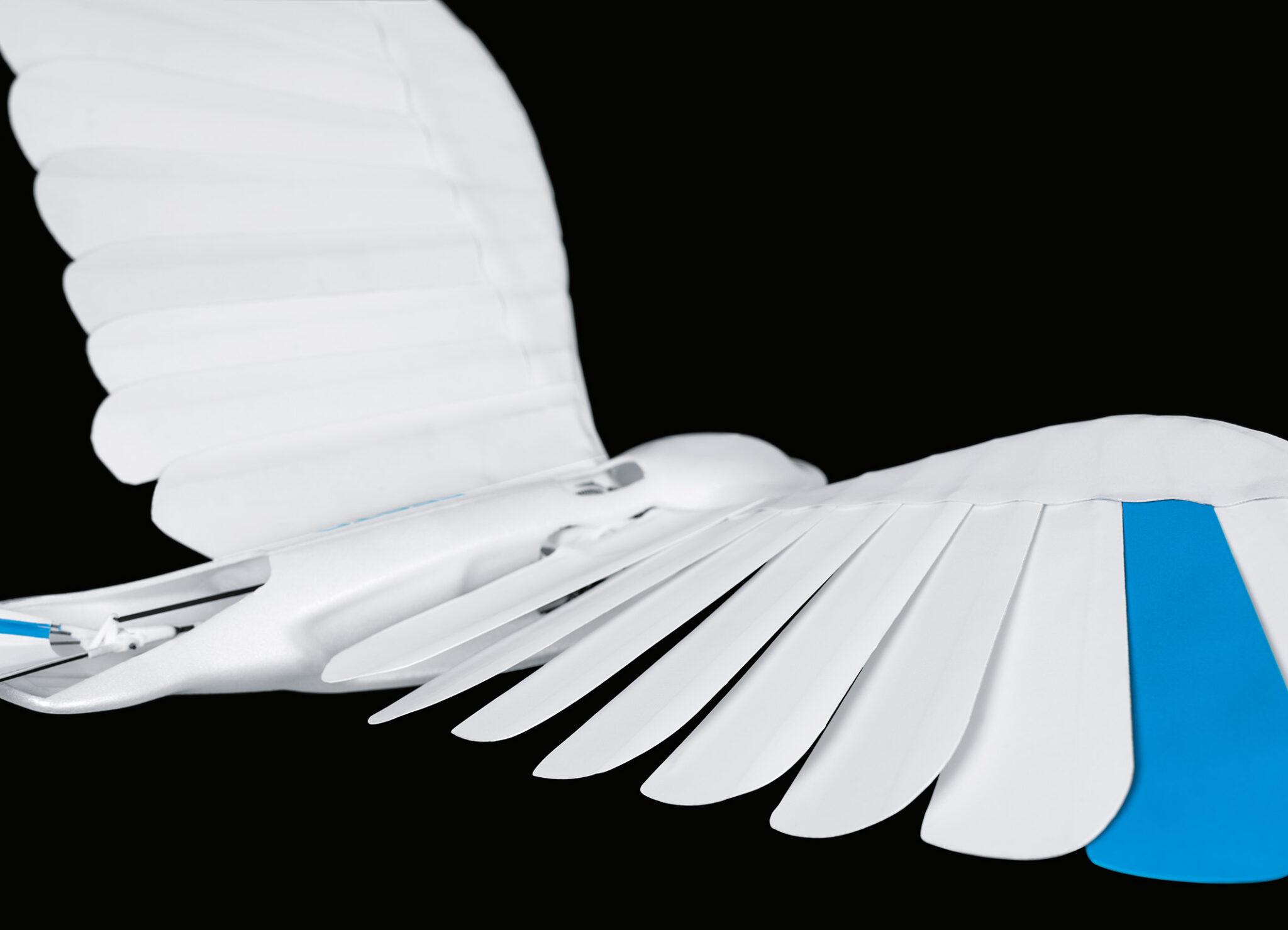 Robots-Blog | Artificial feathers give flight to robotic birds | News ...