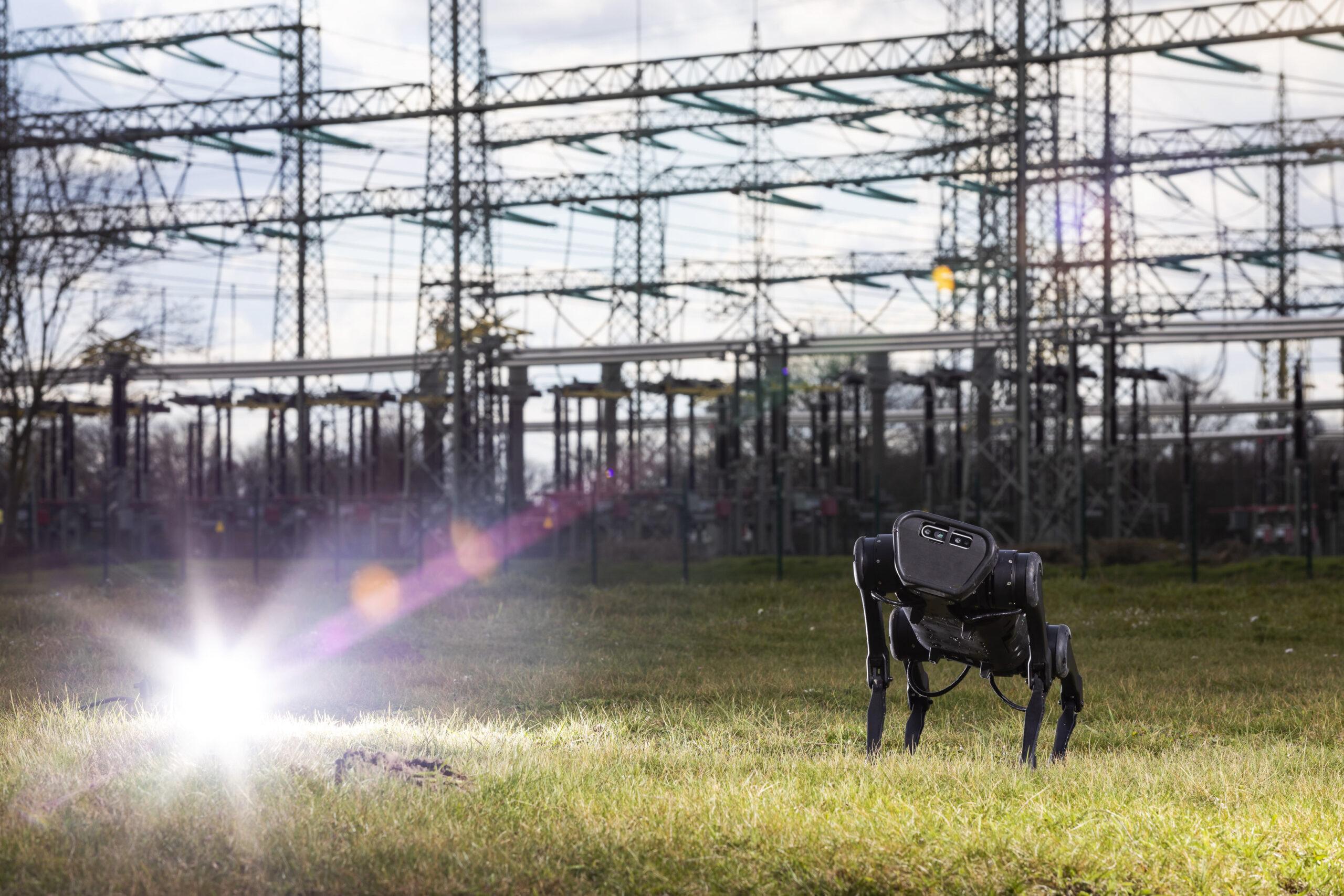 Robots-Blog | QUADRUPED A1 – Four-legged robot combines artificial intelligence and ...