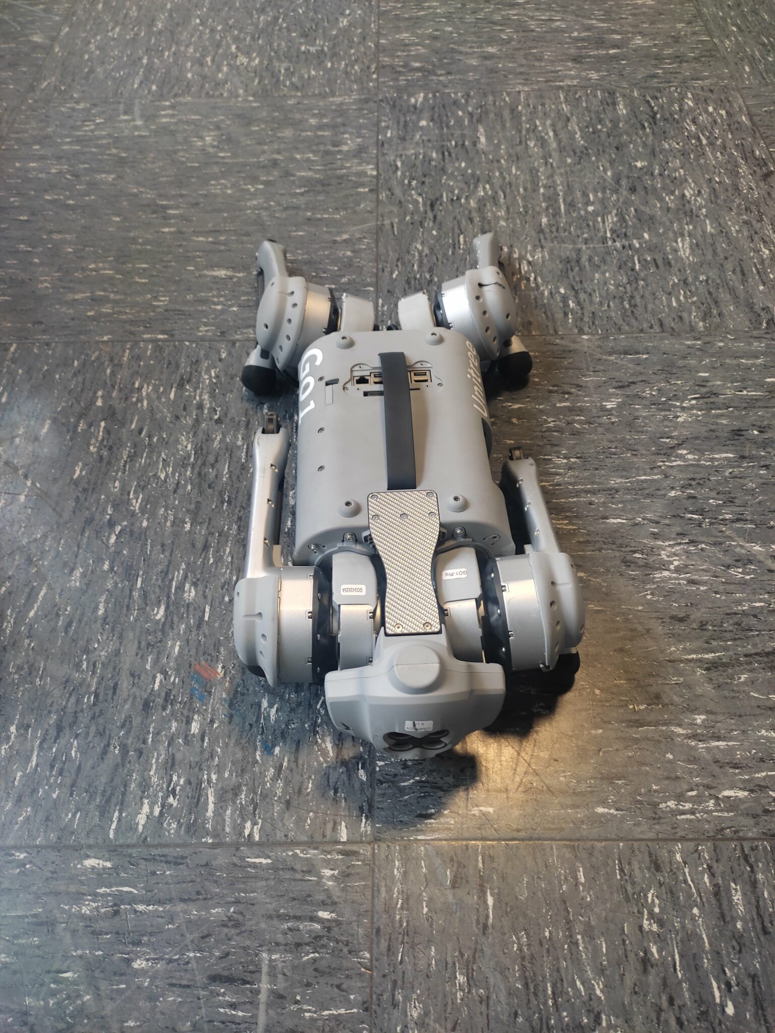 Robots-Blog | Unitree Quadruped Go 1 meets little robot dog puppy ...